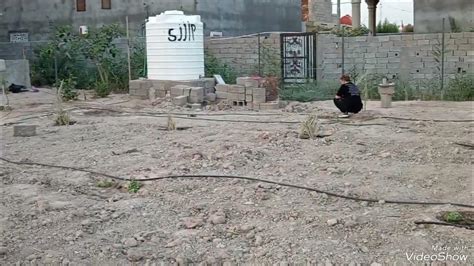 حملة تشجير من قبل اهالي ابو صخير بالبصرة Youtube