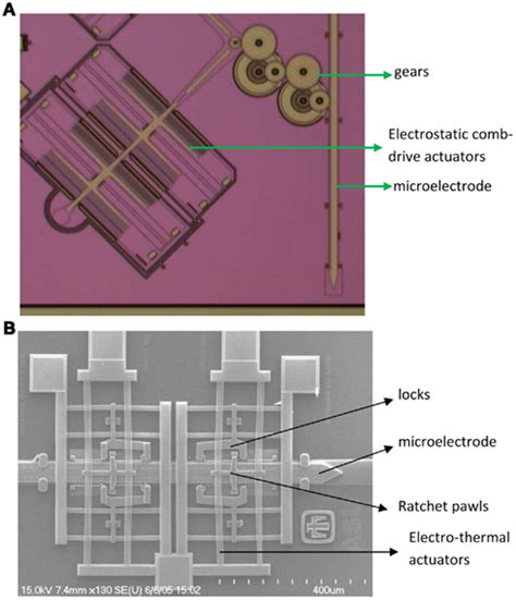 A Micrograph Of One Of The Electrostatic Comb Drive Microactuators Download Scientific Diagram