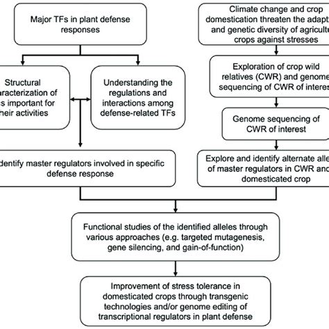Flow Diagram Illustrating A Strategy For Genetic Improvement Of Download Scientific Diagram