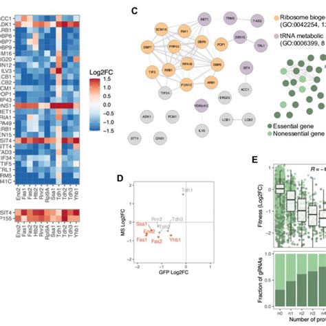 Regulators Of Protein Abundance A Each Volcano Plot Contains The Download Scientific