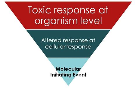 4 3 tools and technologies in systems toxicology chemistry libretexts