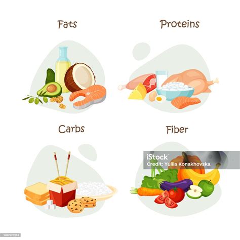 식품의 단백질 지방 섬유질 및 탄수화물 다량 영양소에 대한 스톡 벡터 아트 및 기타 이미지 다량 영양소 개체 그룹 건강관리와 의술 Istock