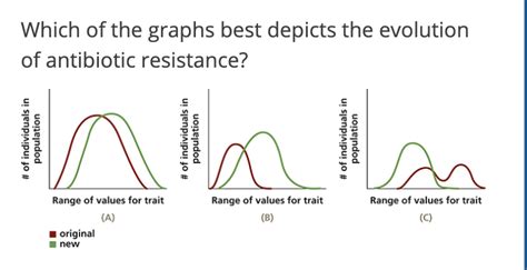 Solved Which Of The Graphs Best Depicts The Evolution Of Antibiotic