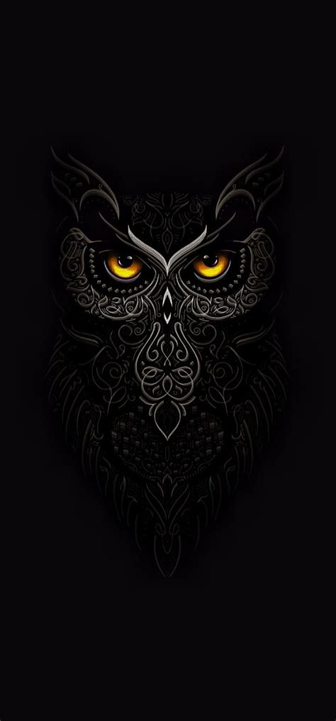 Dark Owl Wallpapers 4k Hd Dark Owl Backgrounds On Wallpaperbat