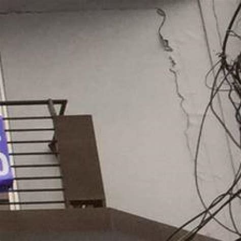 Building Paper Object Detection Dataset And Pre Trained Model By Harrisburg University