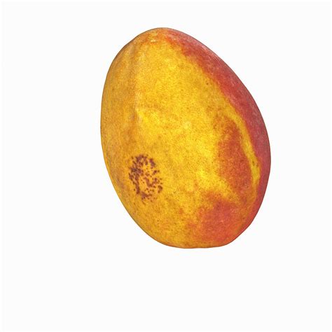 망고 이국적인 과일 레스토랑 행사 축하 식사 저녁 뷔페 카페테리아 축제 호텔 잔치 2 2 3d 모델 19 3ds