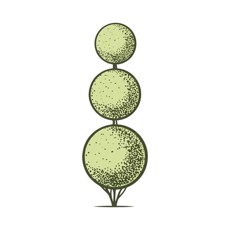 Premium Vector Sketch Of Topiary Conifers Sheared Thuja Sphere