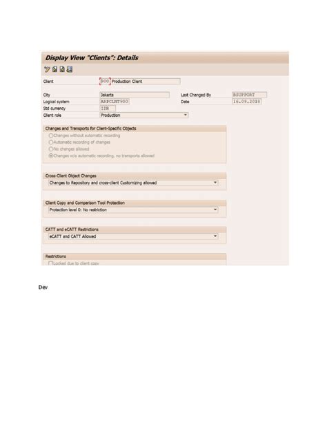 Setting Tcode Scc4 Pdf