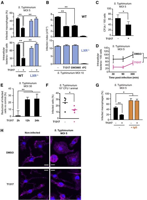 Lxr Activation Limits Macrophage Infection By Non Opsonized S Typhi