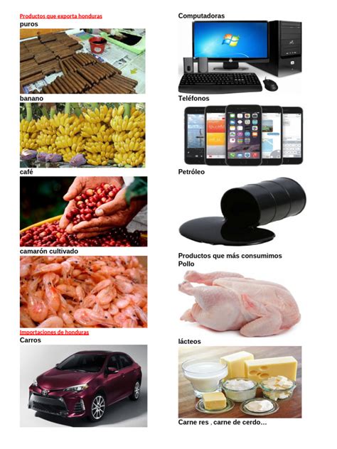 Productos De Importación Y Exportación En Honduras Pdf Cocina