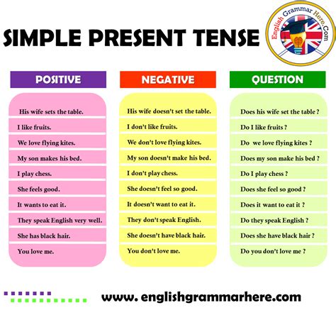 Contoh Negative Sentence 57 Koleksi Gambar