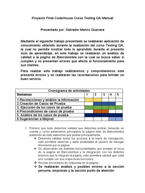 Proyecto Final Coderhouse Curso Testing Qa Manual Pdf Usabilidad