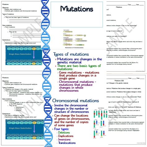 Genetics Mutations Powerpoint And Worksheet Made By Teachers
