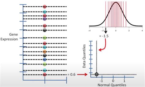 Quantile Quantile Plot Qq Plot