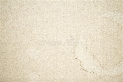 Pressed Paper Cardboard Texture Stock Illustrations 243 Pressed Paper