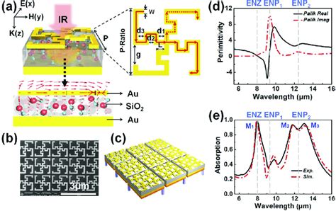A Schematic Illustration Of The Mla Based Pma And The Relevant