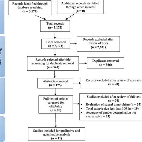 Forest Plot Analysis Of The Transverse Diameter Breadth Reveals