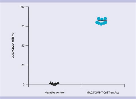 Gmp Car T Cell Activation Macs Gmp T Cell Transact Miltenyi Biotec