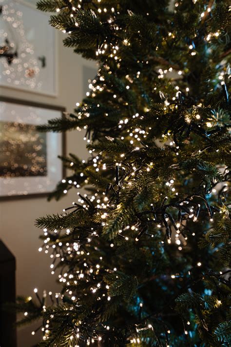 Micro Led Light Christmas Tree Crazy Wonderful