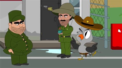 Сова в стране шишек — Kutstupid Coub The Biggest Video Meme Platform