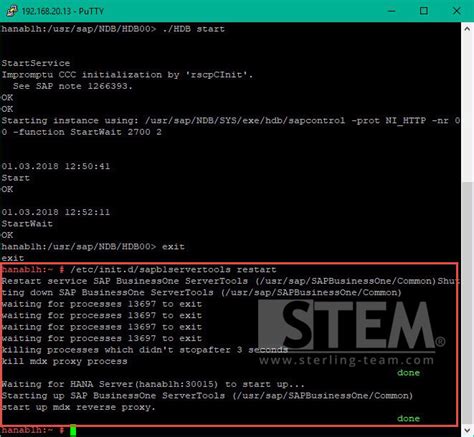 Restart Sap Hana Service On Suse Linux Sap Business One