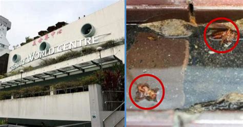 Multiple Cockroaches Found At Fruit Juice Stall In Beauty World Centre