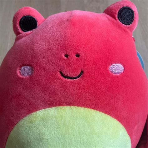 Cute New With Tag Frog Squishmallow His Name Is Depop