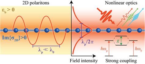 Schematic Of Polaritons In Atomically Thin Materials In The 2d Limit Download Scientific