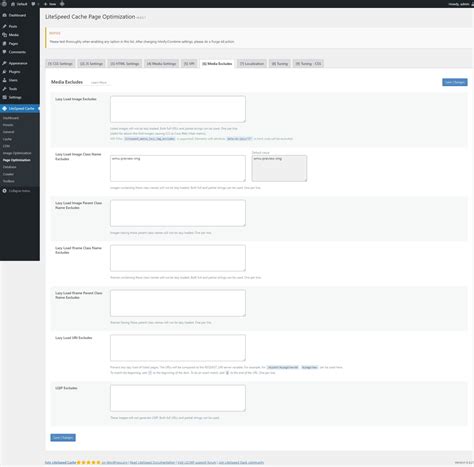 Configure LiteSpeed Cache Settings For WordPress 2024