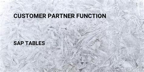 Customer Partner Function Table In Sap