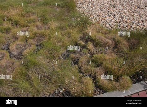 This Entry Appears To Be A Technical Reference Without Specific Details Requiring Further