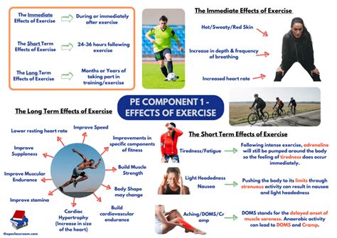 Pe Cheat Sheets The Pe Classroom