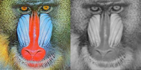 OpenCV Jl OpenCV S Julia Bindings Package Announcements Julia