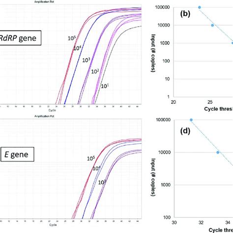 The Limit Of Detection Lod Of Rdrp And E Genes A Serial Dilution Of