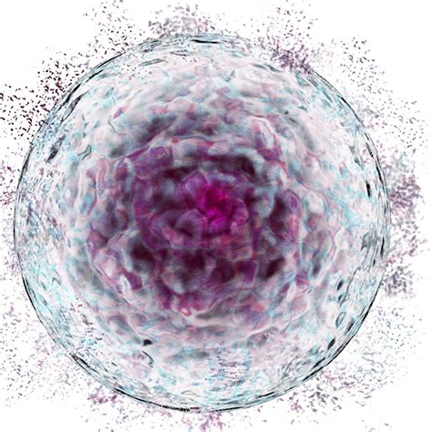 300 Million Stem Cells Iv Treatment Rocky Point Stem Cell Therapy