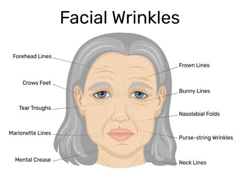 How To Draw Face Wrinkles