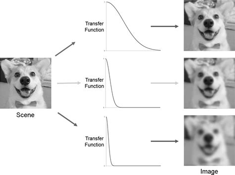 Modeling The Optical Transfer Function In The Imaging Chain