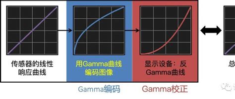 为什么要对图像做gamma校正？如何做？编码显示亮度