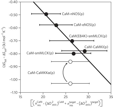 calibration of the dynamical proxy for protein conformational entropy