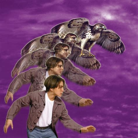 Animorph Book Covers Etsy