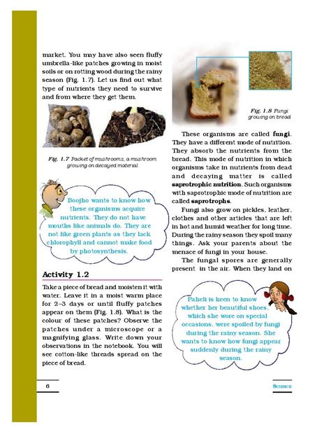 NCERT Book Class 7 Science Chapter 1 Nutrition In Plants PDF New