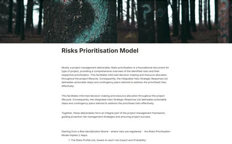 Risks Prioritisation Model Notion Template