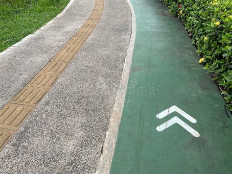 A Curved Pathway With Textured Sections For Pedestrians And Cyclists