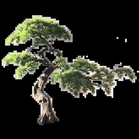 造型松3 花瓣网