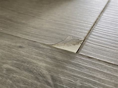 Contractor Issues How To Maintain Lvt Lvp Flooring Proinstaller Magazine