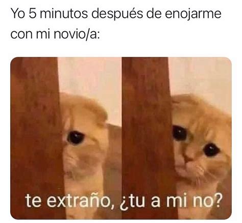 Yo minutos después de enojarme con mi novio a Te extraño tú a mí no Memes