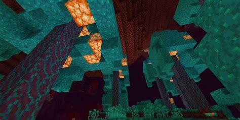 Warped Forest In Minecraft