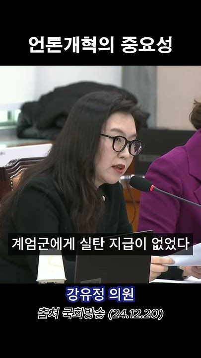 허위사실유포 내란선전행위 윤석열 계엄 내란 언론 Youtube