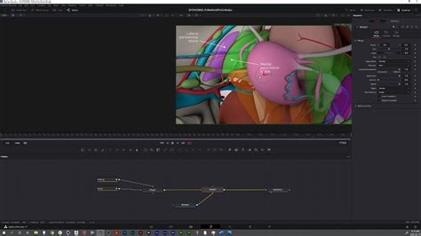 tutorial adding text to videos using davinci resolve tvasurg the